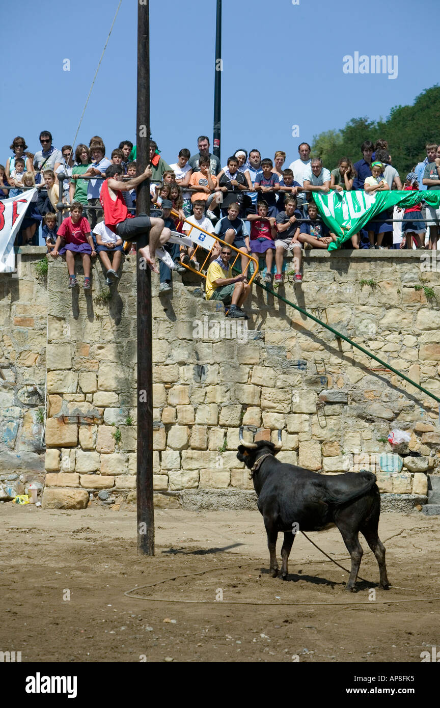 Climbing the greasy pole hi-res stock photography and images - Alamy