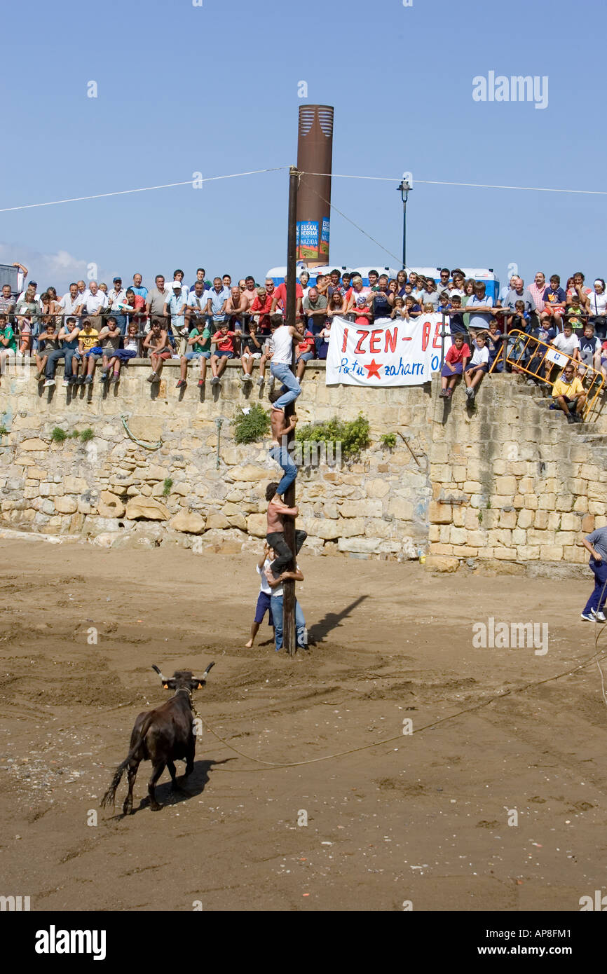 Bull charges human tower as spectators look on Sokamuturra bull running ...