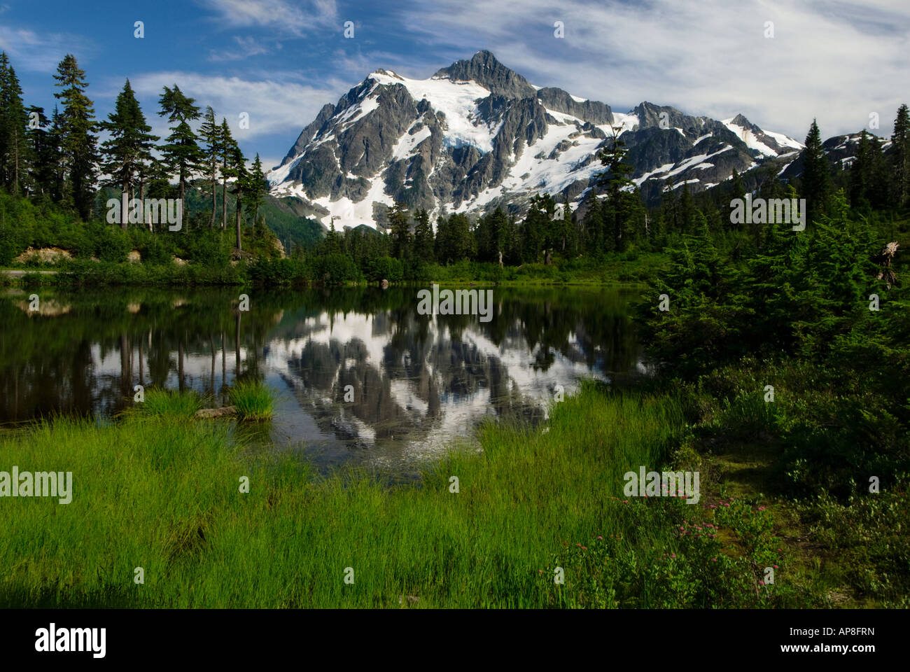 Mt washington treeline hi-res stock photography and images - Alamy
