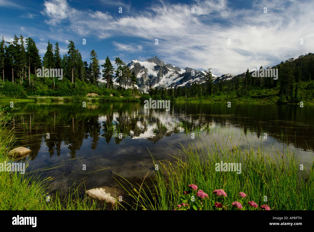 Mt washington treeline hi-res stock photography and images - Alamy