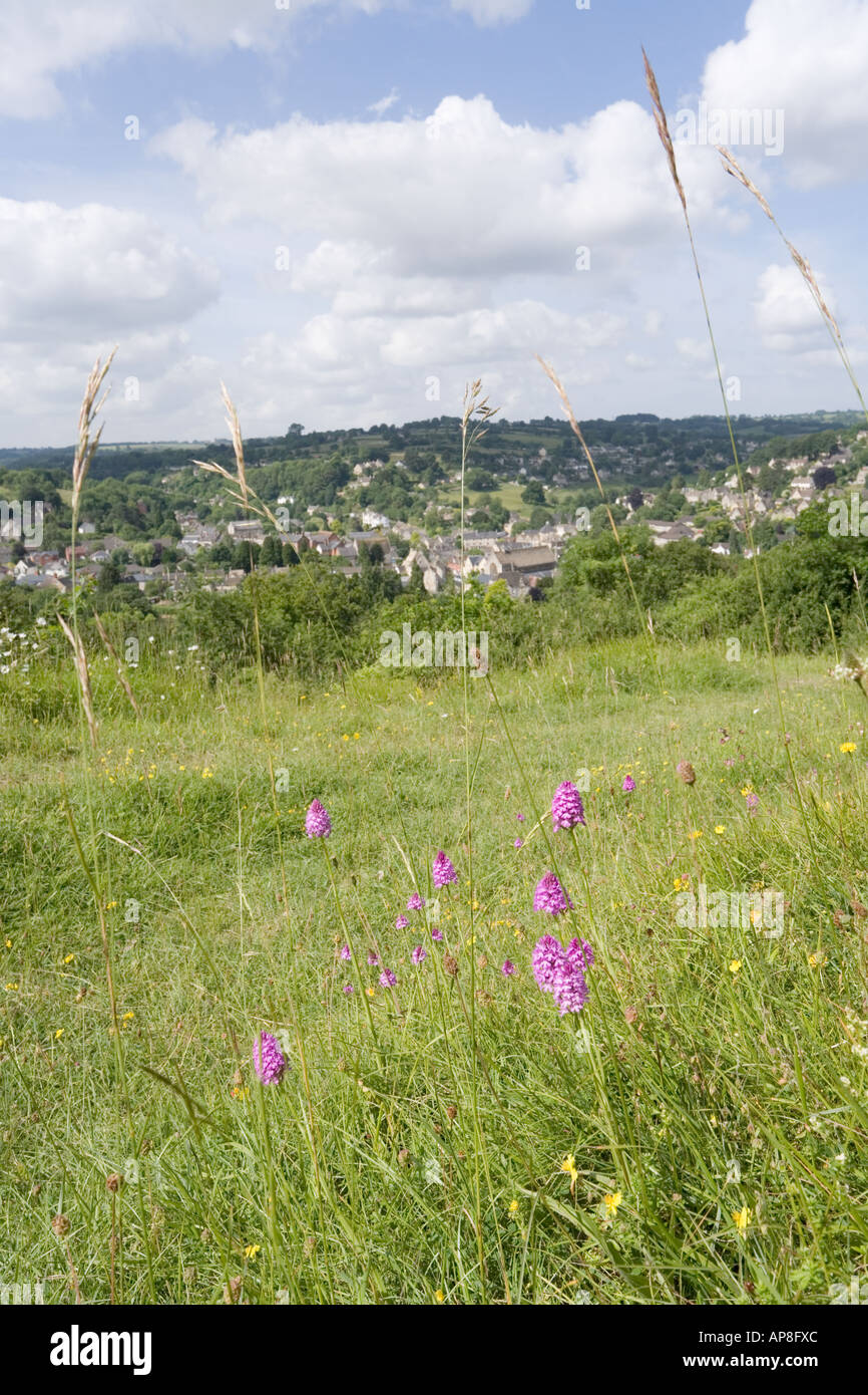Minchinhampton common hi-res stock photography and images - Alamy
