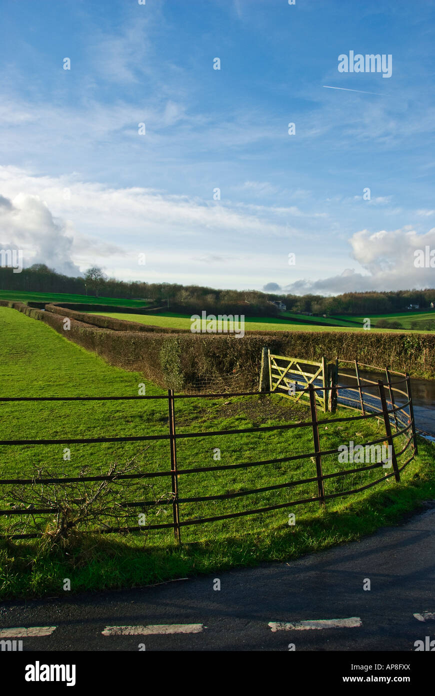 Country lane with hedge hi-res stock photography and images - Alamy
