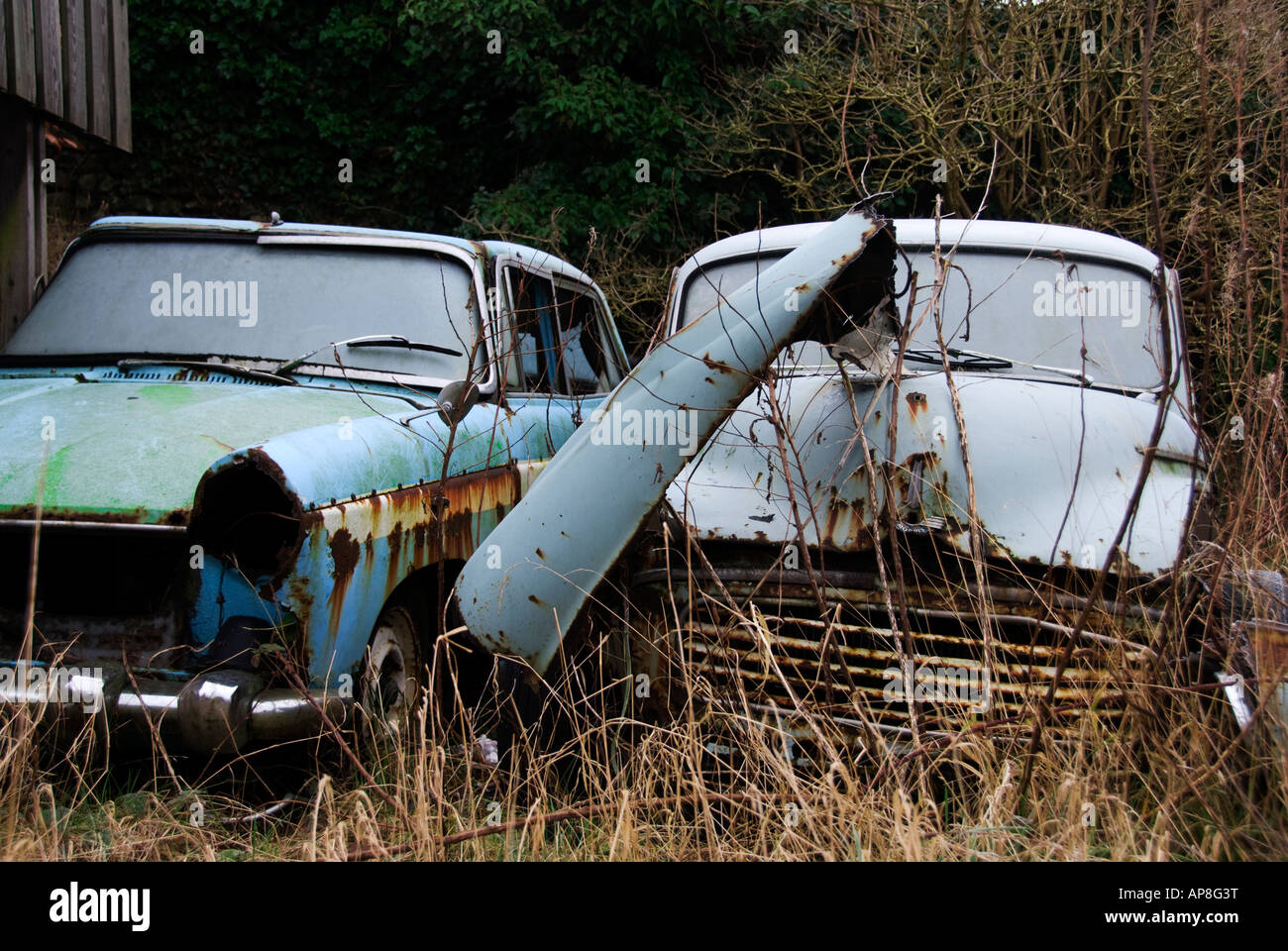 rusty austin cambridge and morris 1000 traveller Stock Photo - Alamy