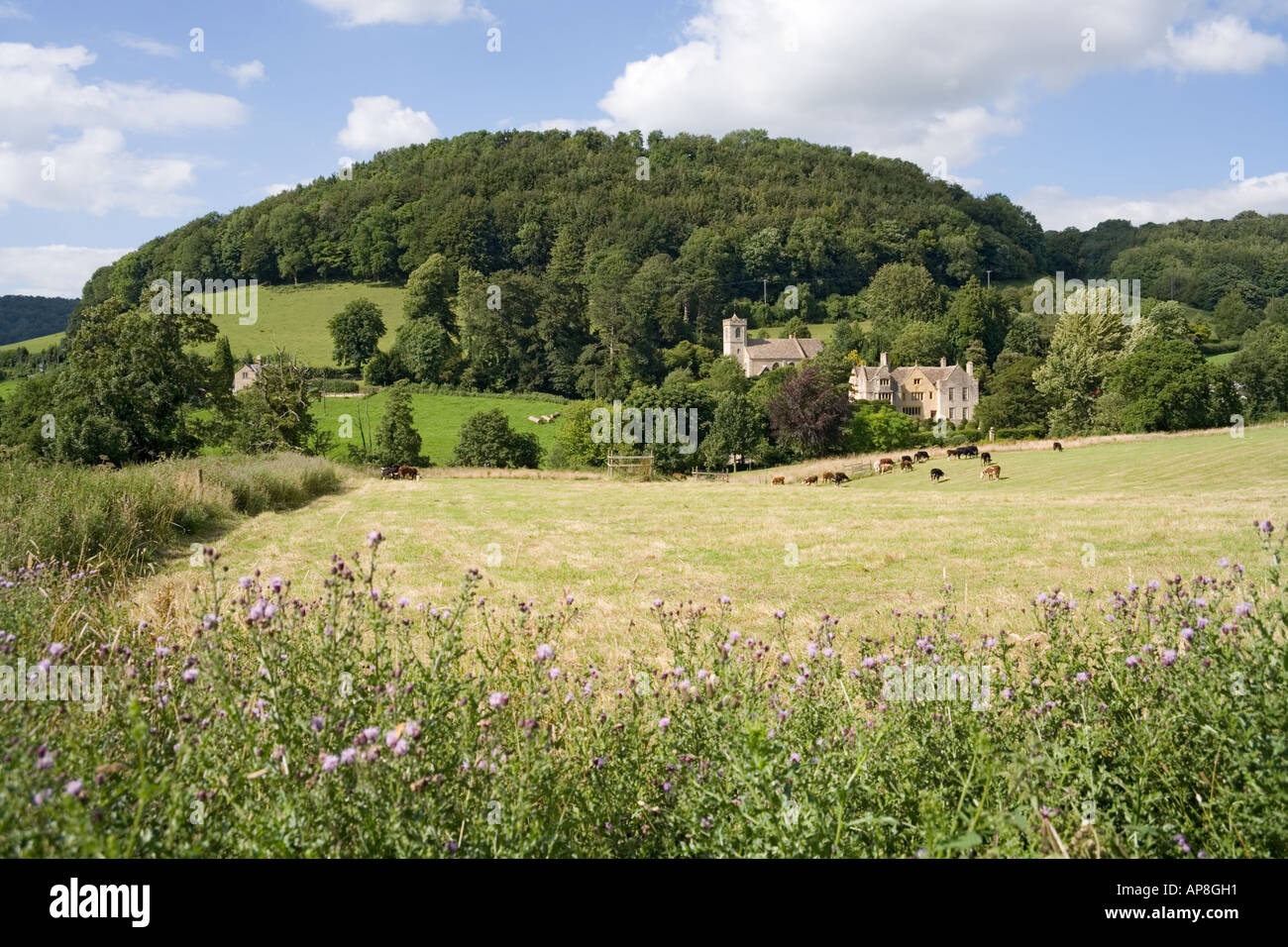 The medieval Cotswold manor house of Owlpen Manor, Gloucestershire ...