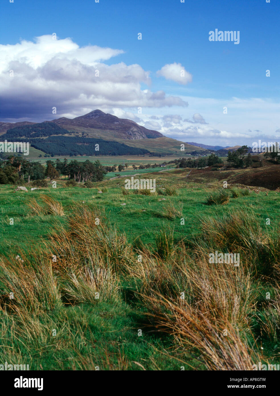 Scottish highland moors hi-res stock photography and images - Alamy