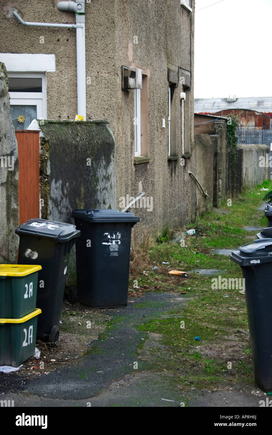recycling bins in alley Stock Photo - Alamy