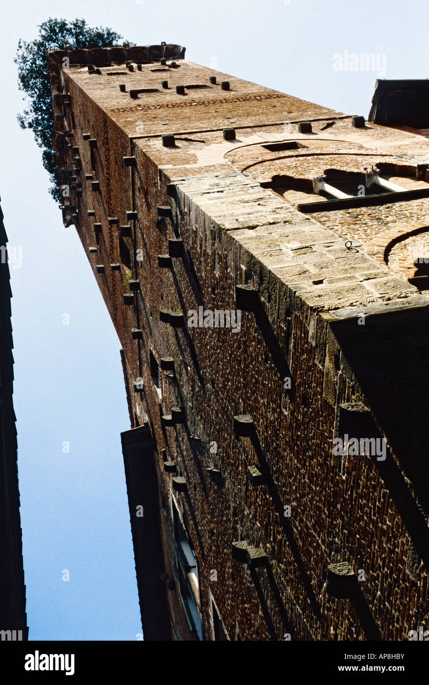 Famous tree topped tower of the Guinigi Tower, Lucca, Tuscany, Italy ...