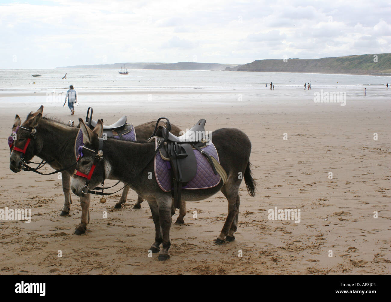Donkeys on beach scarborough hi-res stock photography and images - Alamy