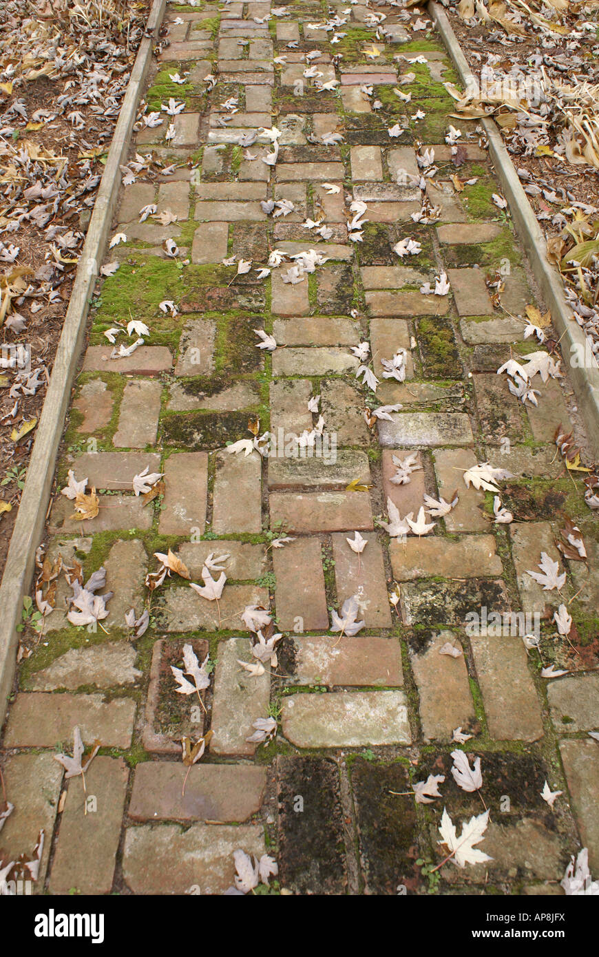 Brick path edging hi-res stock photography and images - Alamy