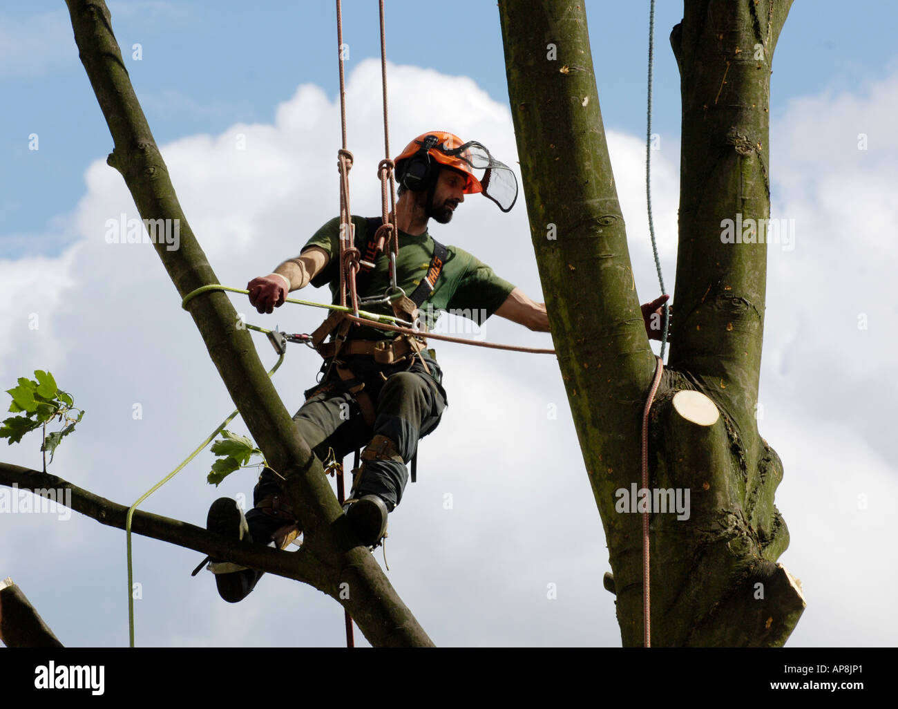 Cutting down tree garden uk hi-res stock photography and images - Alamy