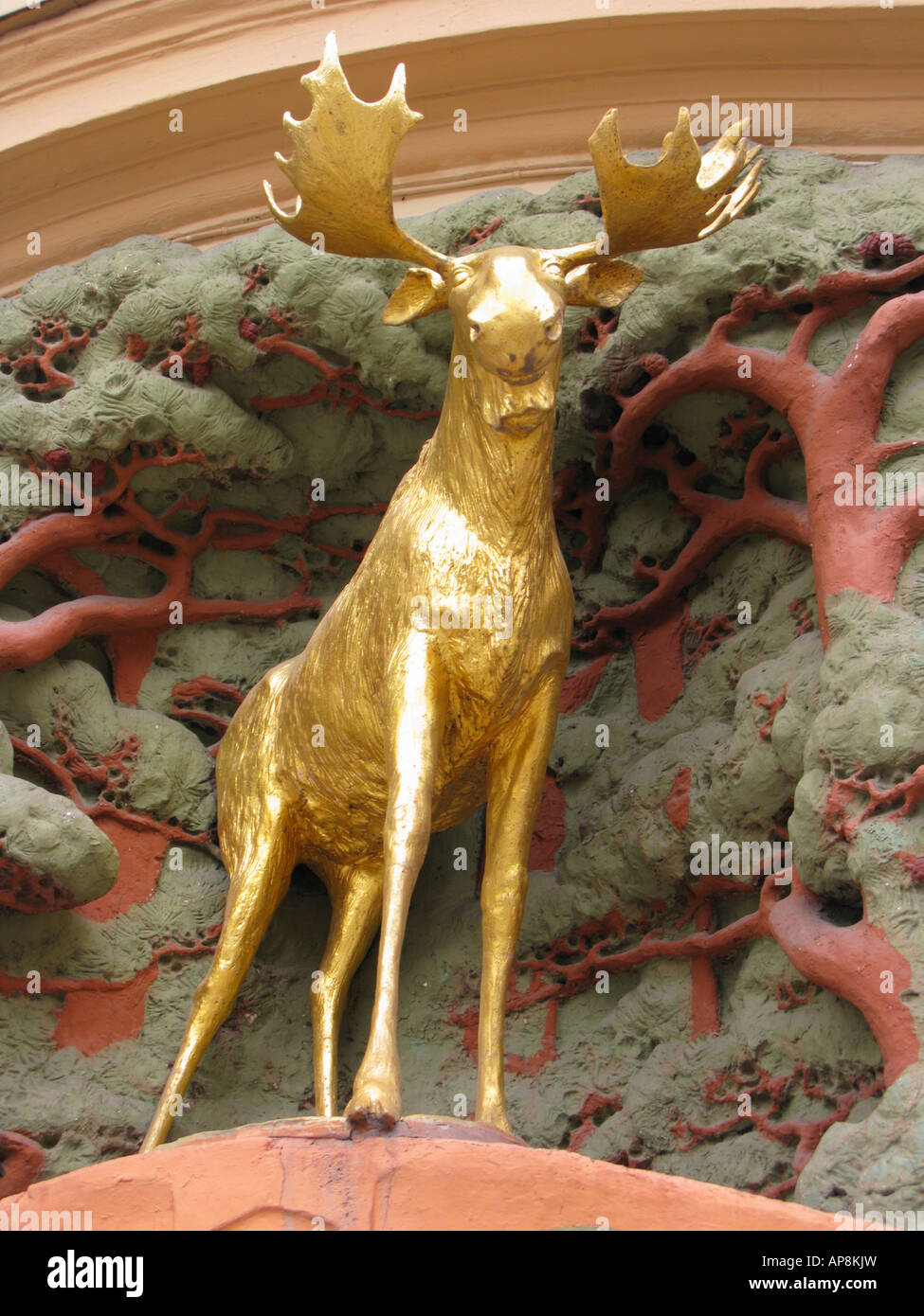 Golden elk hi-res stock photography and images - Alamy