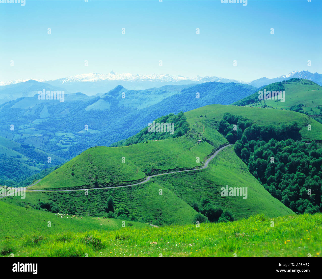Pyrenees mountains snow hills green hi-res stock photography and images ...