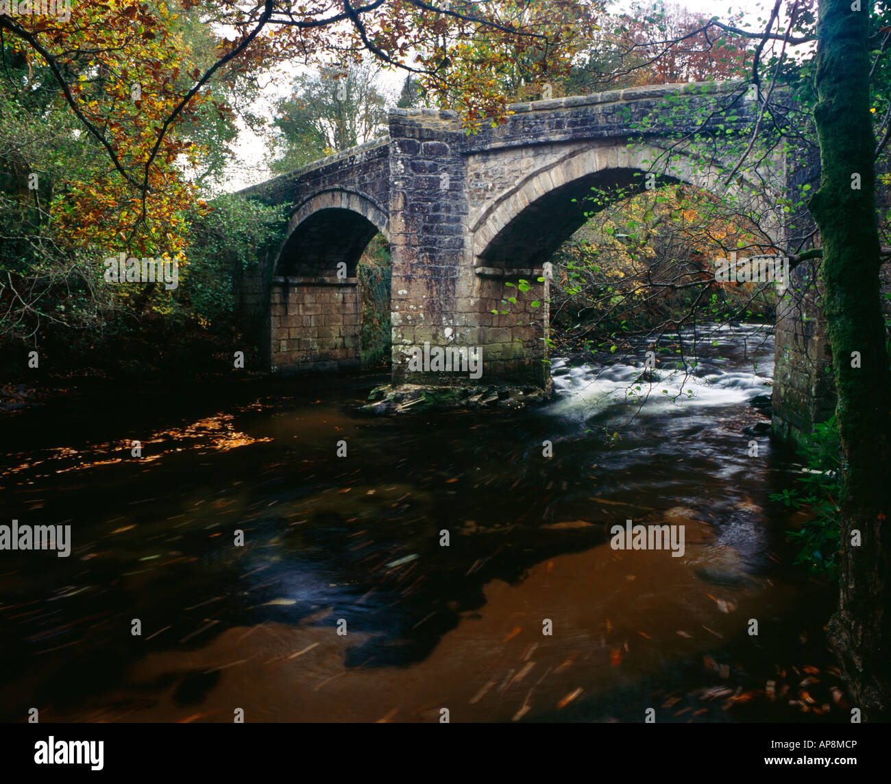 Holne village dartmoor hi-res stock photography and images - Alamy