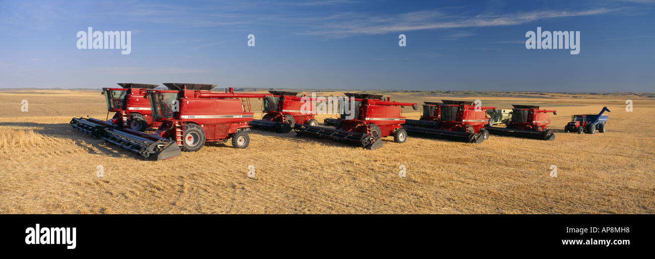 COMBINING HARD RED SPRING WHEAT WITH CASE IH 2188 WITH HEADROW HARDIN ...