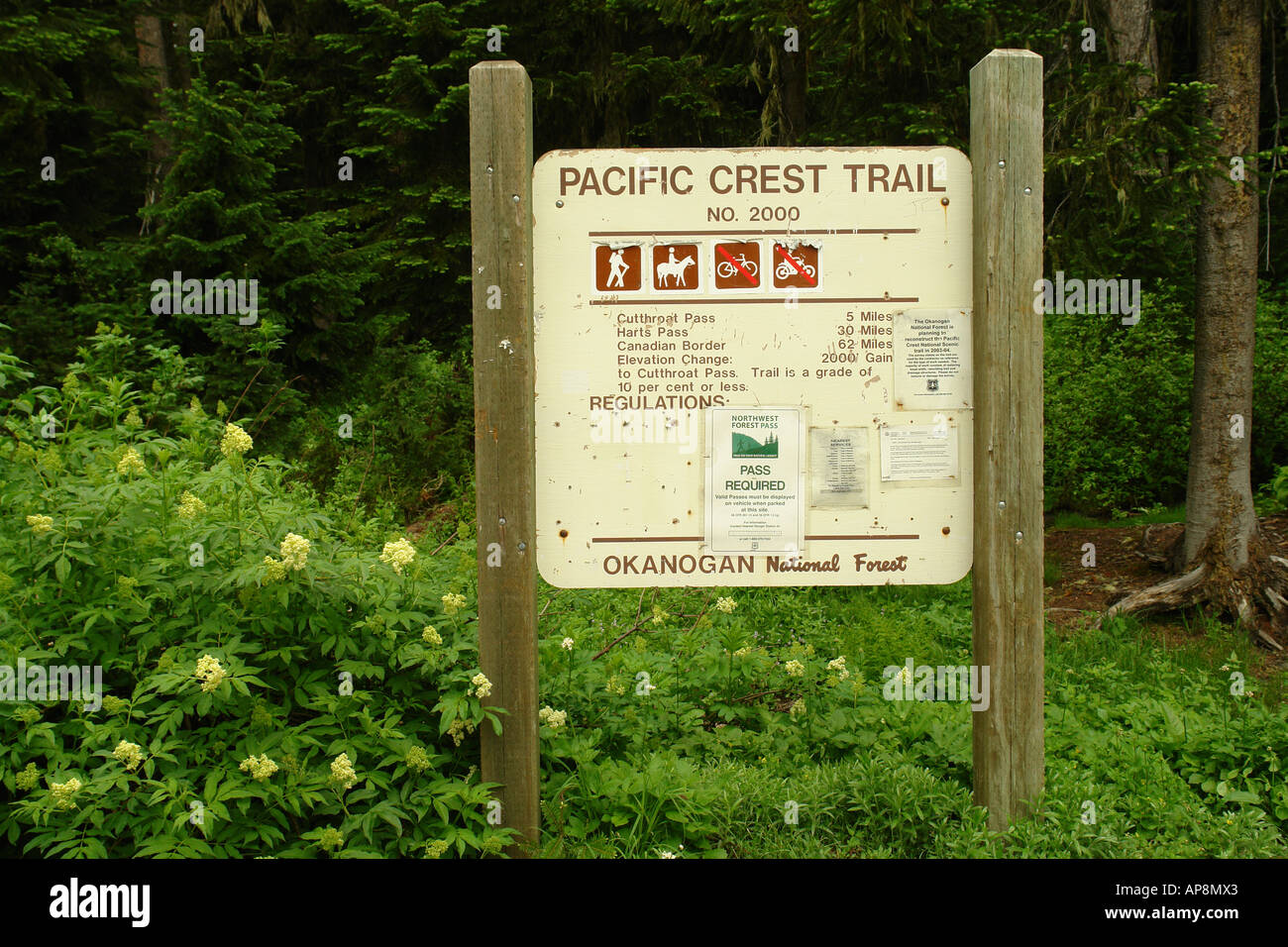 20 pct hi-res stock photography and images - Alamy