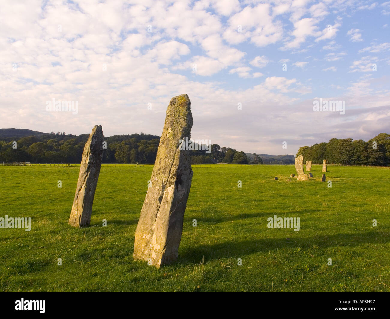 Nether Largie stones near the Temple woods site at Kilmartin Argyll ...
