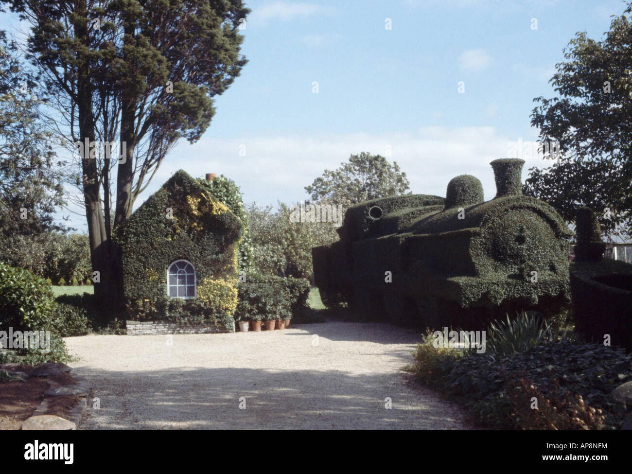 Large topiary train beside garden shed covered with ivy Stock Photo - Alamy