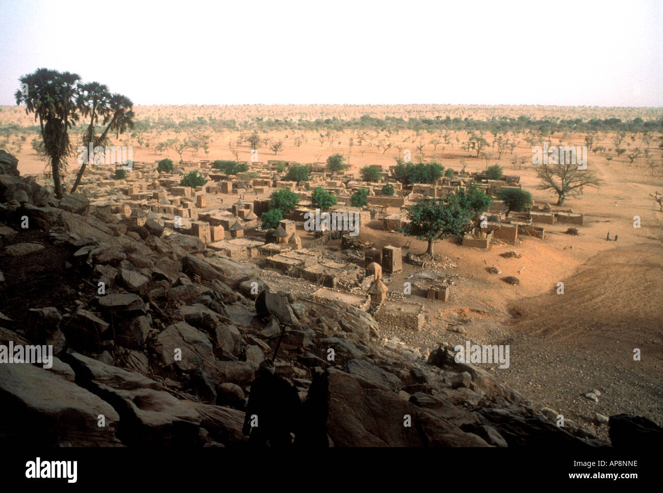 A Dogon village with traditional huts on the plain at the foot of a ...