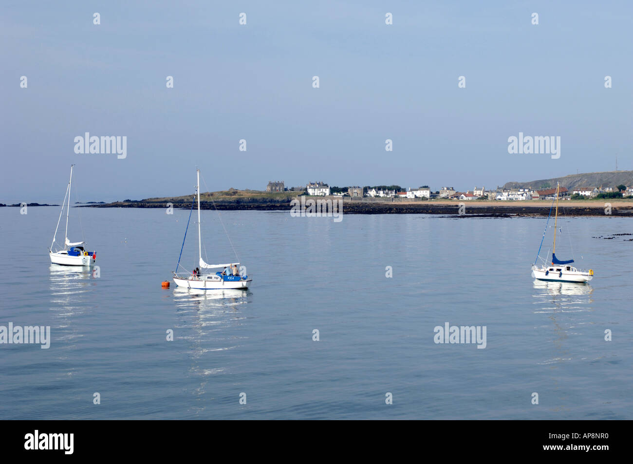 Elie Bay Sailing, Fife Stock Photo - Alamy
