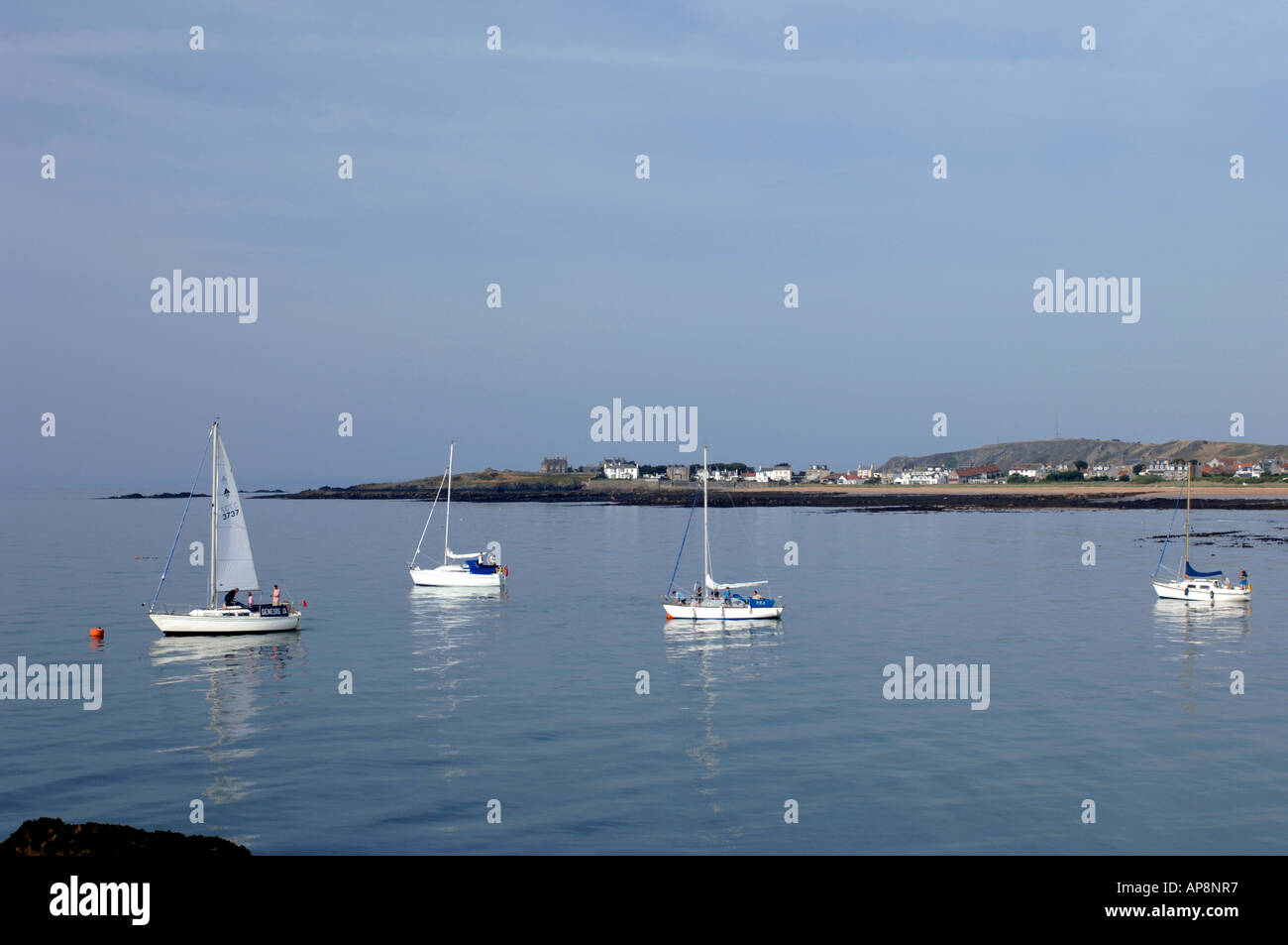 Ruby Bay Fife High Resolution Stock Photography and Images - Alamy
