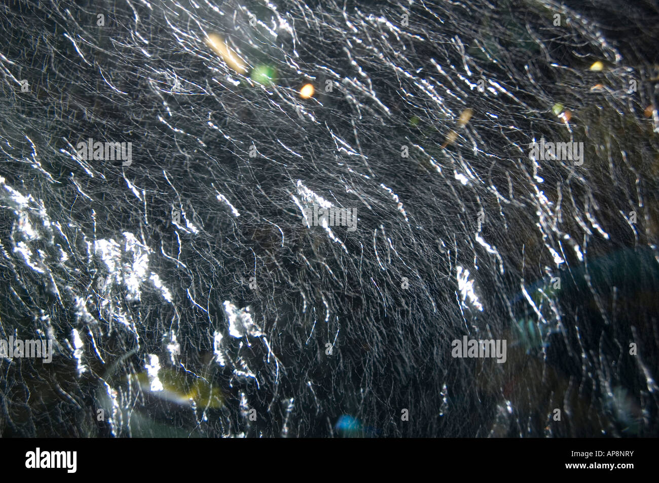 Stream oxygen bubbles hi-res stock photography and images - Alamy