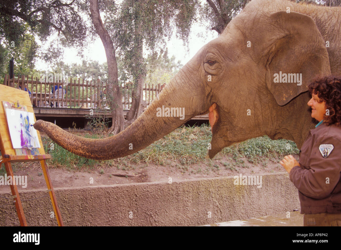 Asian elephant painting Santa Barbara Zoological Garden Santa Barbara ...