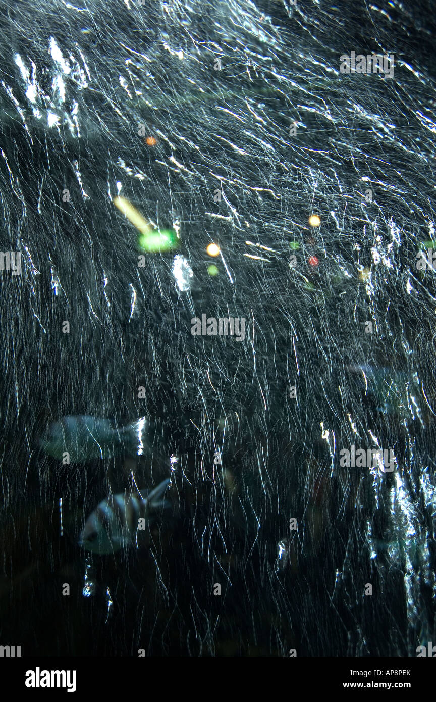 Oxygen bubbles fish hi-res stock photography and images - Alamy