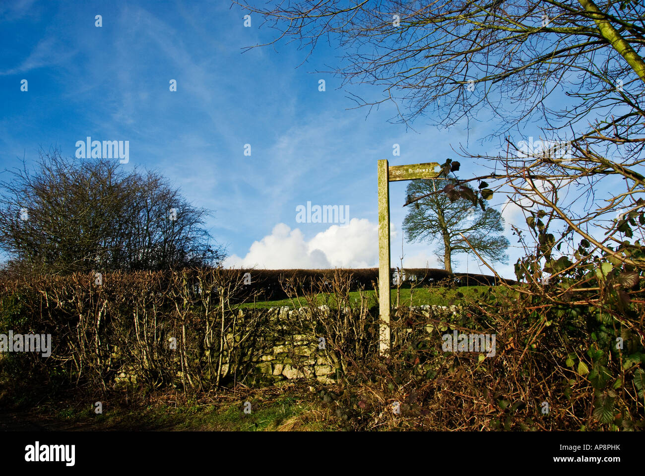 Hacking bridleway hi-res stock photography and images - Alamy