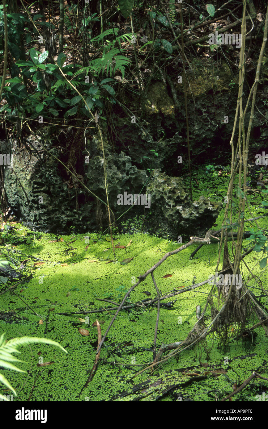 Solution hole hi-res stock photography and images - Alamy