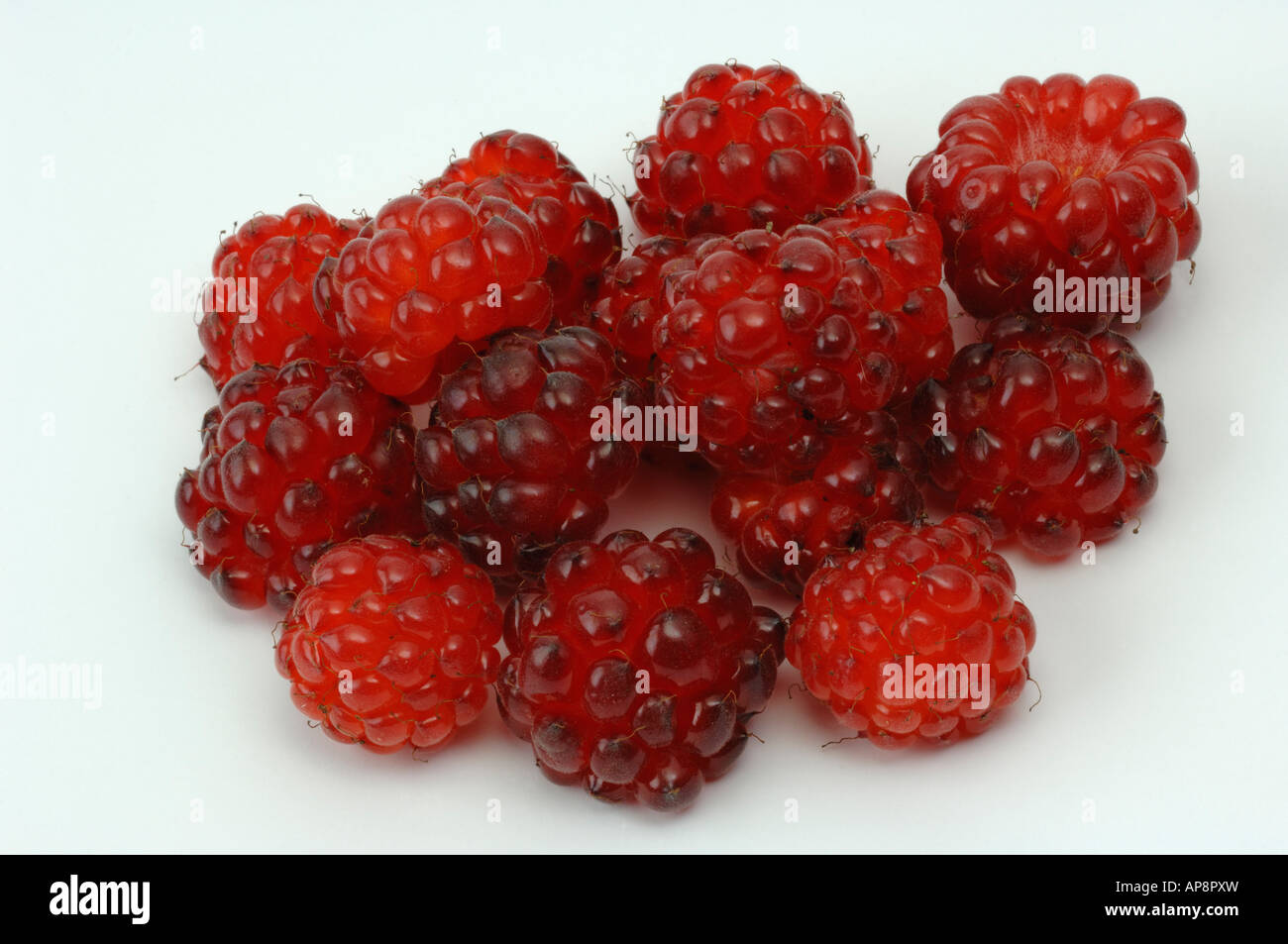 Wineberry (Rubus phoenicolasius), berries, studio picture Stock Photo ...