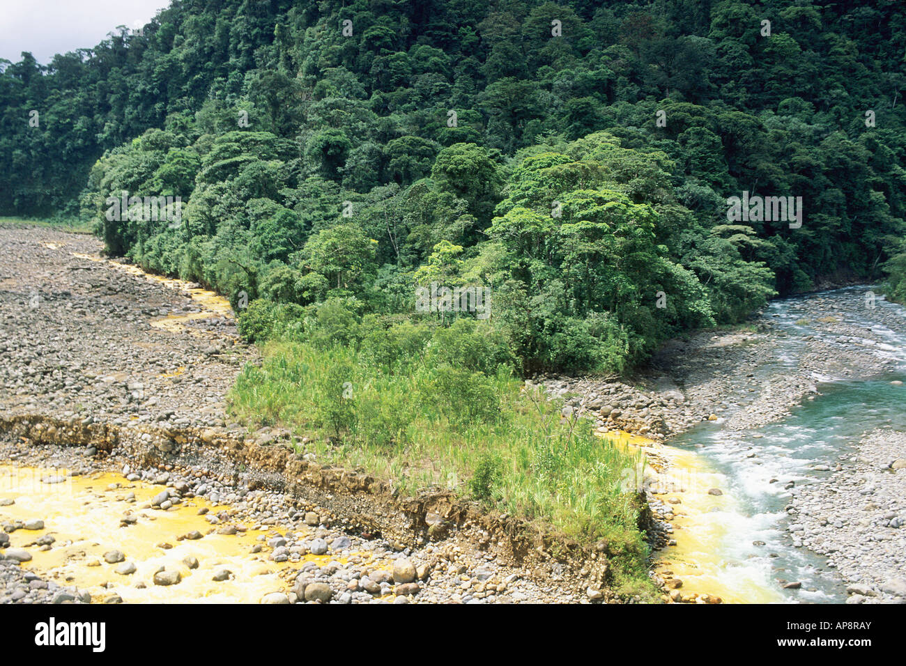 Two rainforest rivers joining (one yellow - Súcio River , one blue ...
