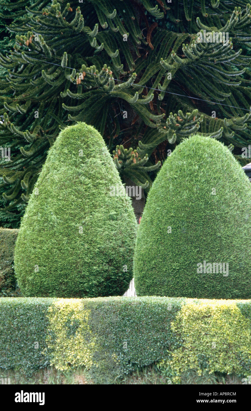 Shrub shrubs topiary hi-res stock photography and images - Alamy