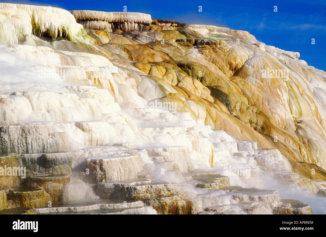 Morning light on terraces at Canary Spring Mammoth Hot Springs ...