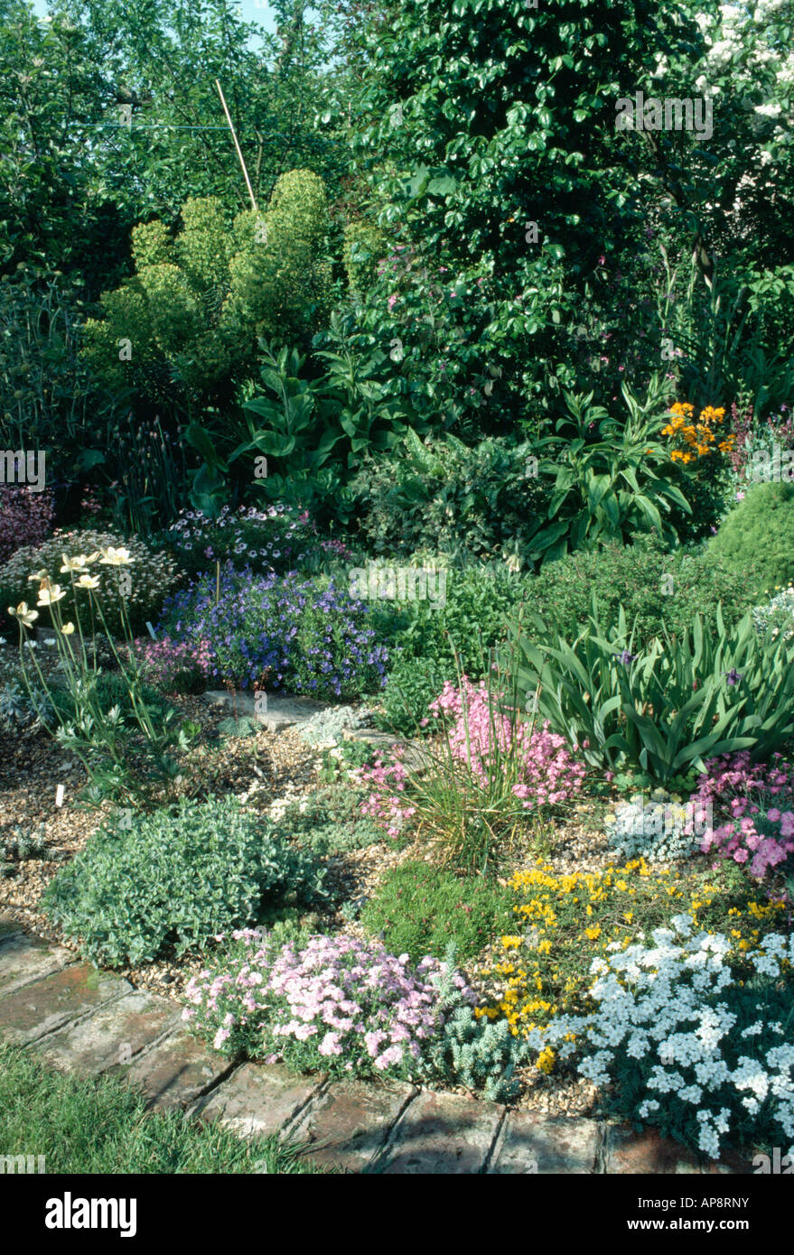 Pink iberis hi-res stock photography and images - Alamy