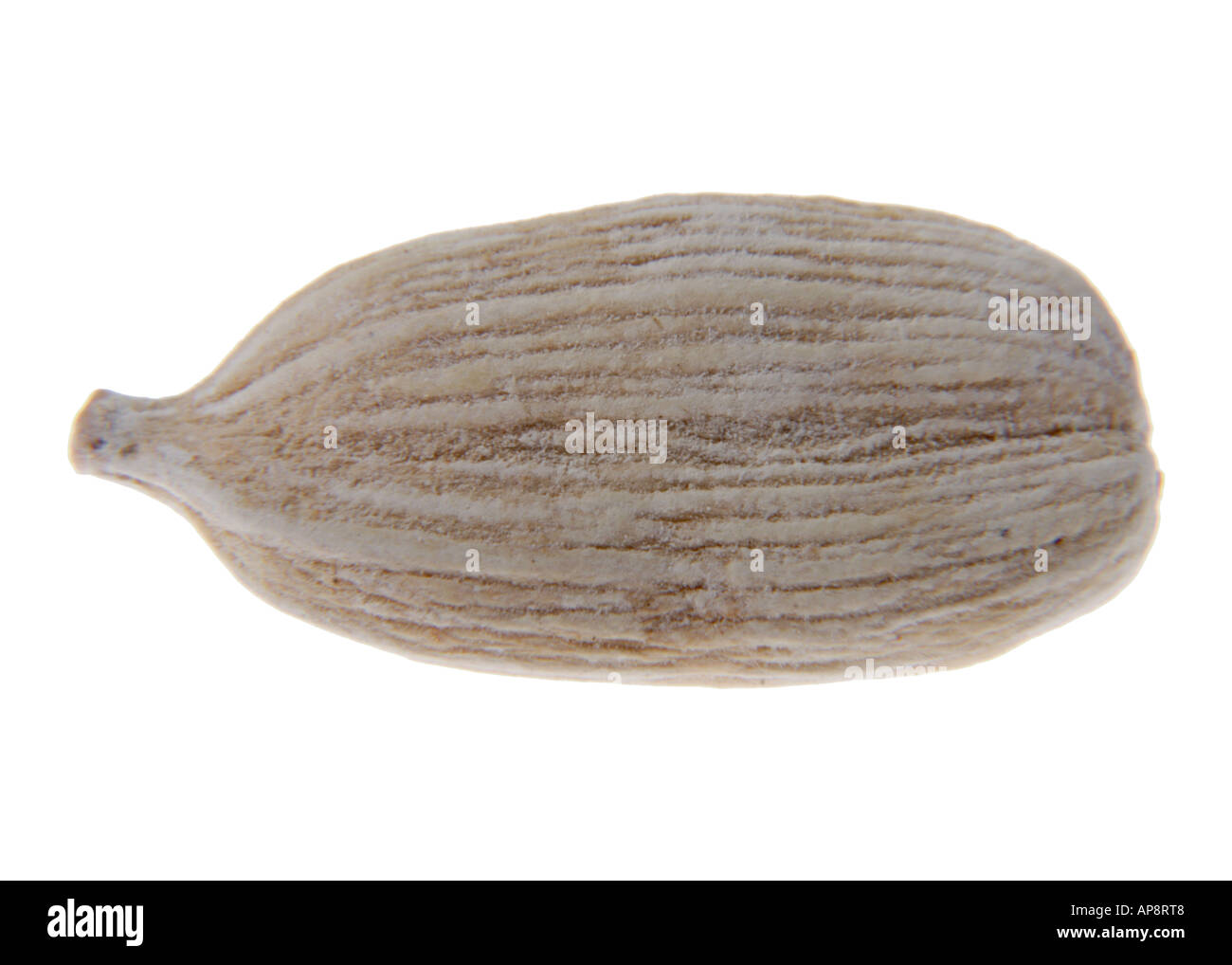 Cardamon pod Cut Out Stock Images & Pictures - Alamy