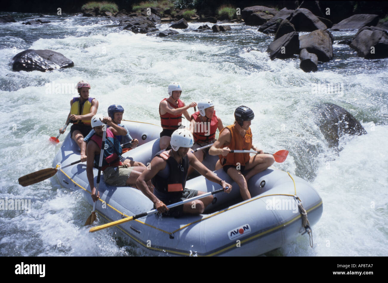 Rafting on the Kelani River, Sri Lanka Stock Photo - Alamy