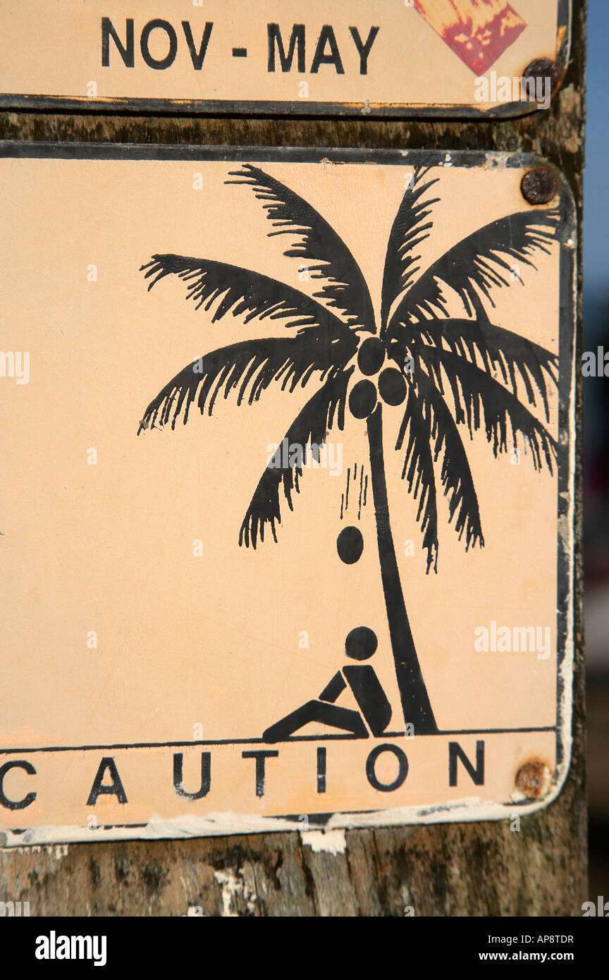 Falling coconuts hi-res stock photography and images - Alamy