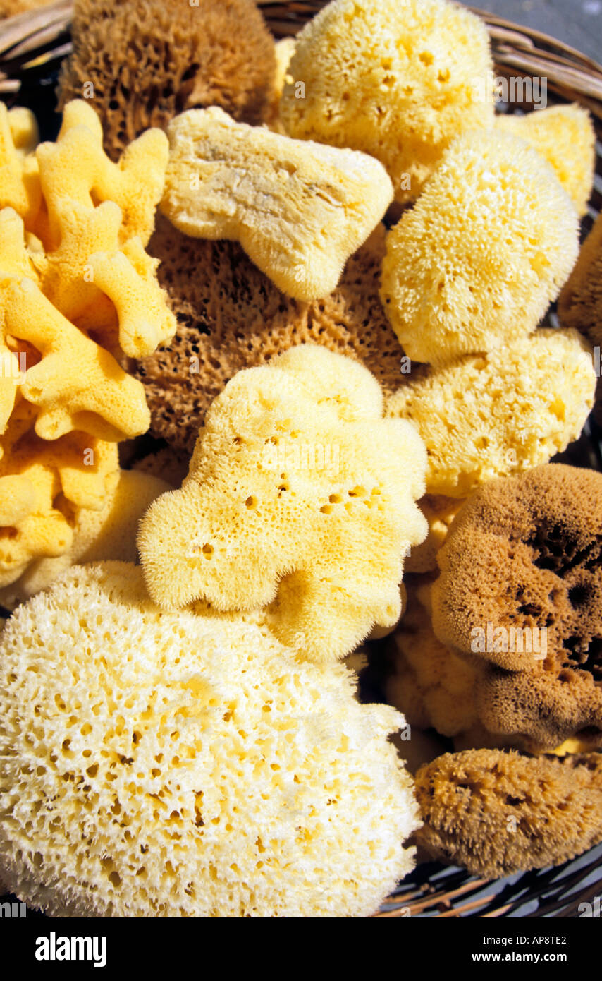 greece dodecanese kalymnos island sponges for sale at the port Stock ...