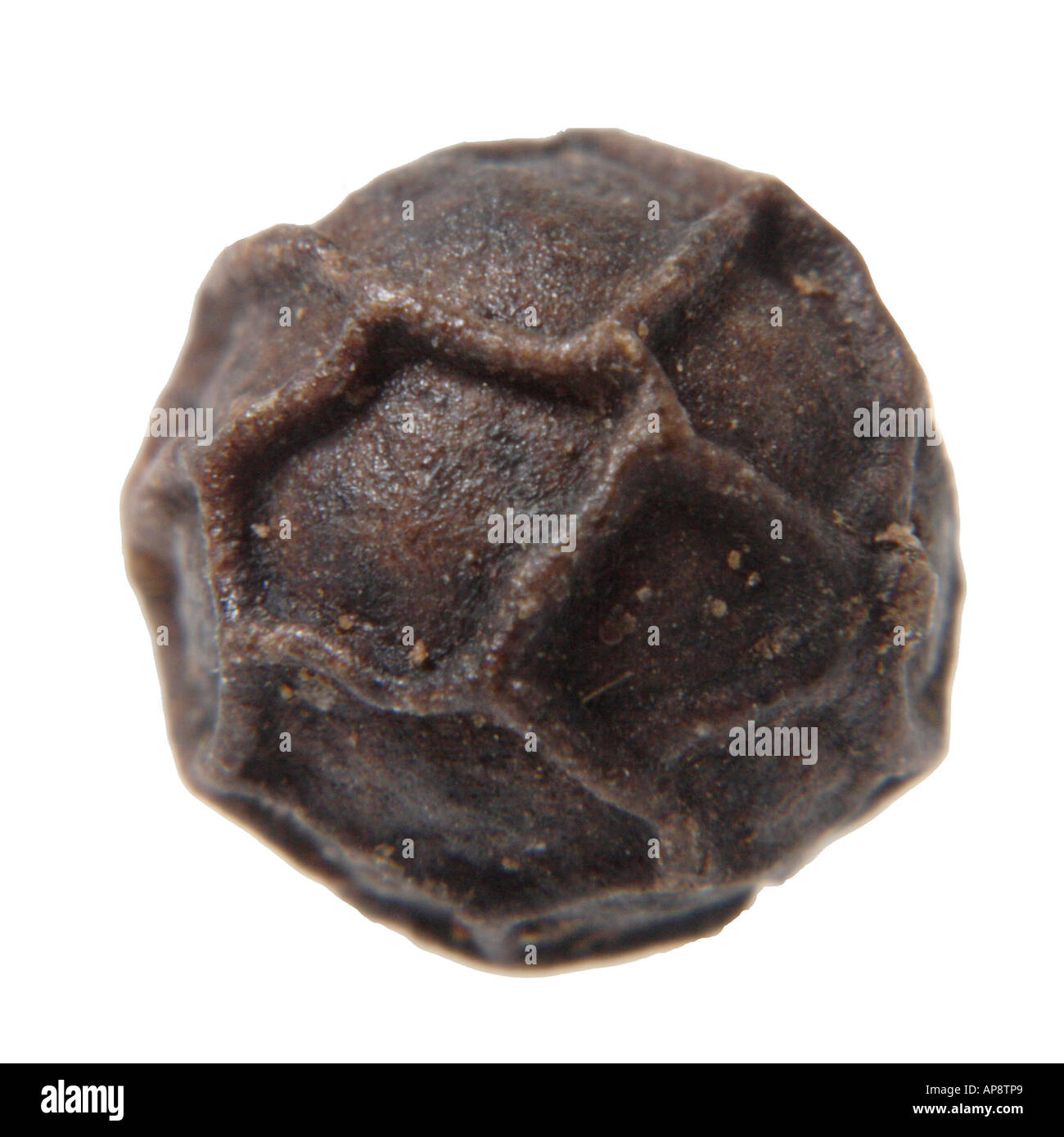 Single Black Peppercorn Stock Photo - Alamy