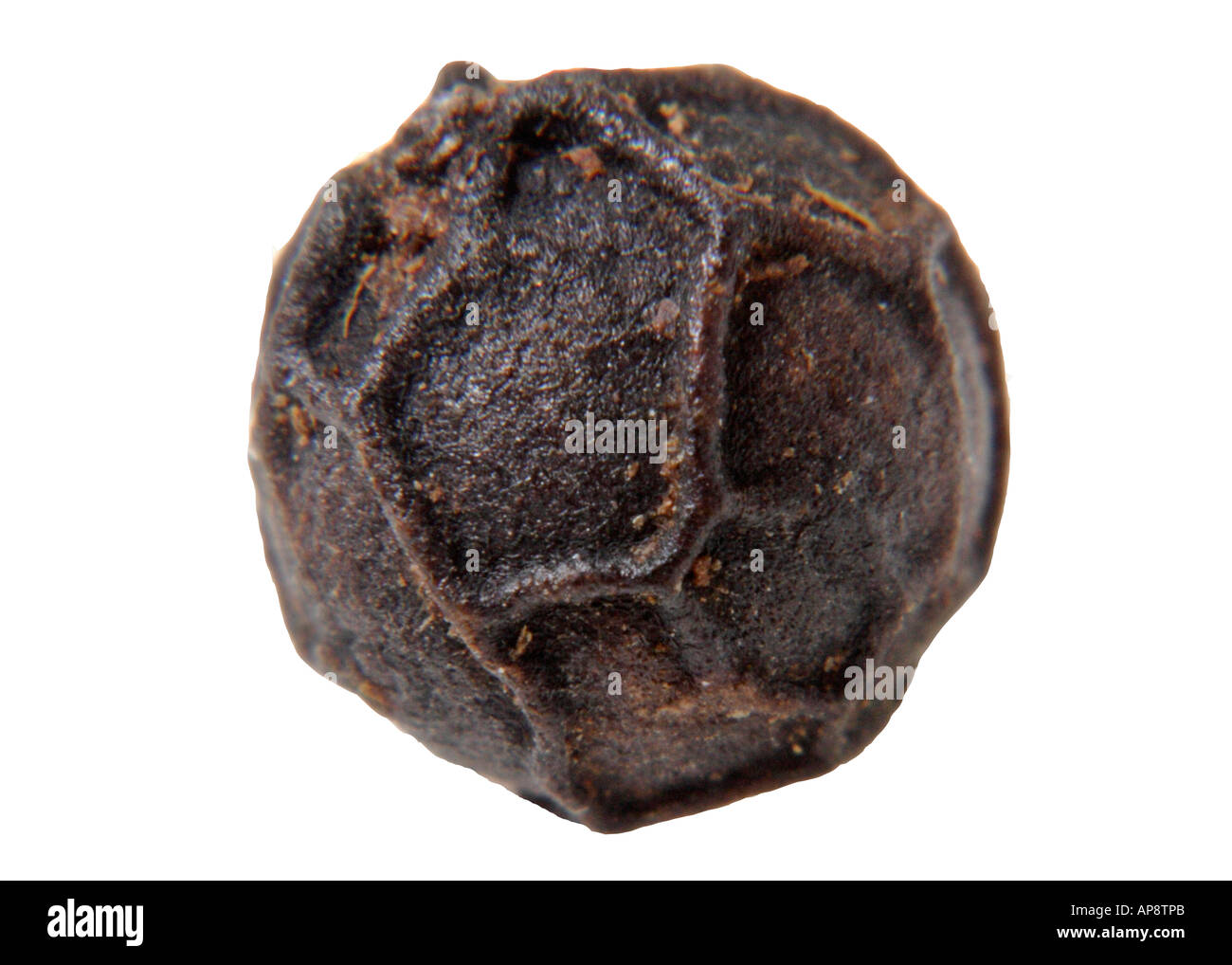 Single Black Peppercorn Stock Photo - Alamy