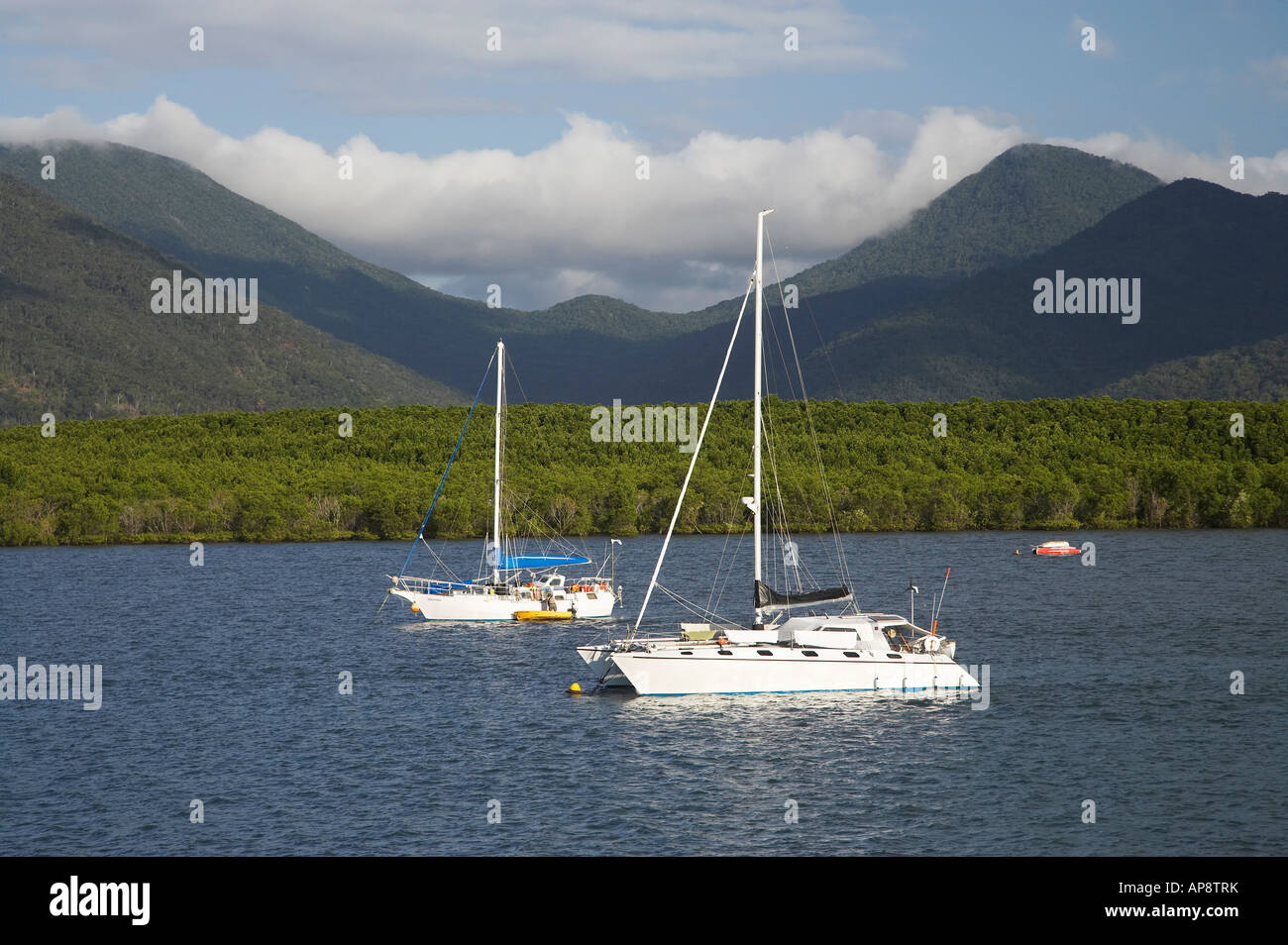 Yachts Trinity Inlet Cairns North Queensland Australia aerial Stock ...