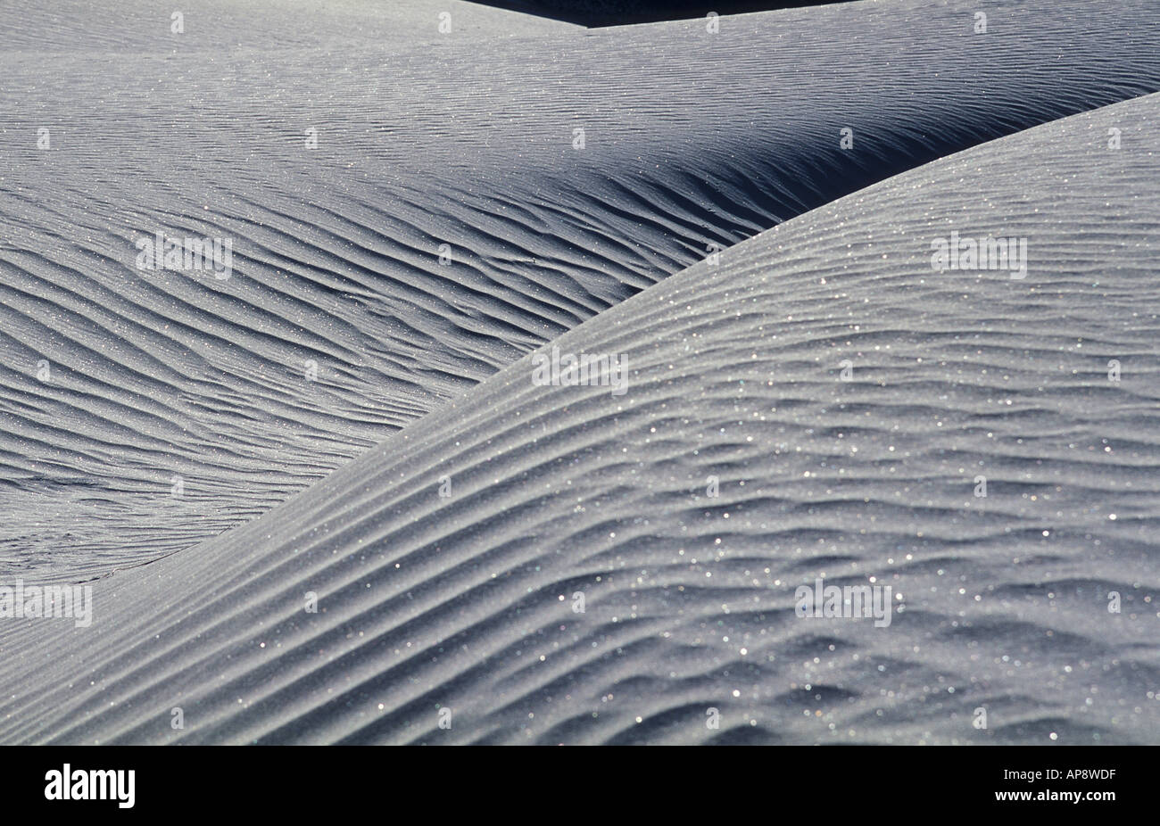 Ripples on sand dunes Stock Photo - Alamy
