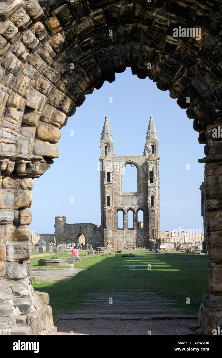 St Andrews Cathedral ruins, Fife. Scotland. XPL 3378-332 Stock Photo ...