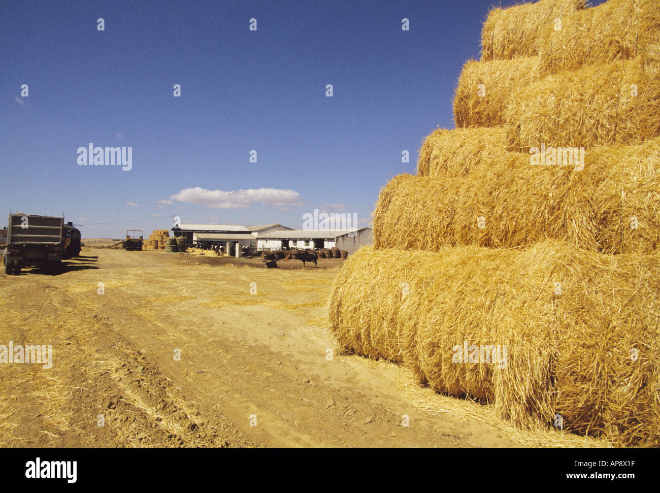 Spain Spanish agriculture. Harvesting. Landscape of farmland with bales ...