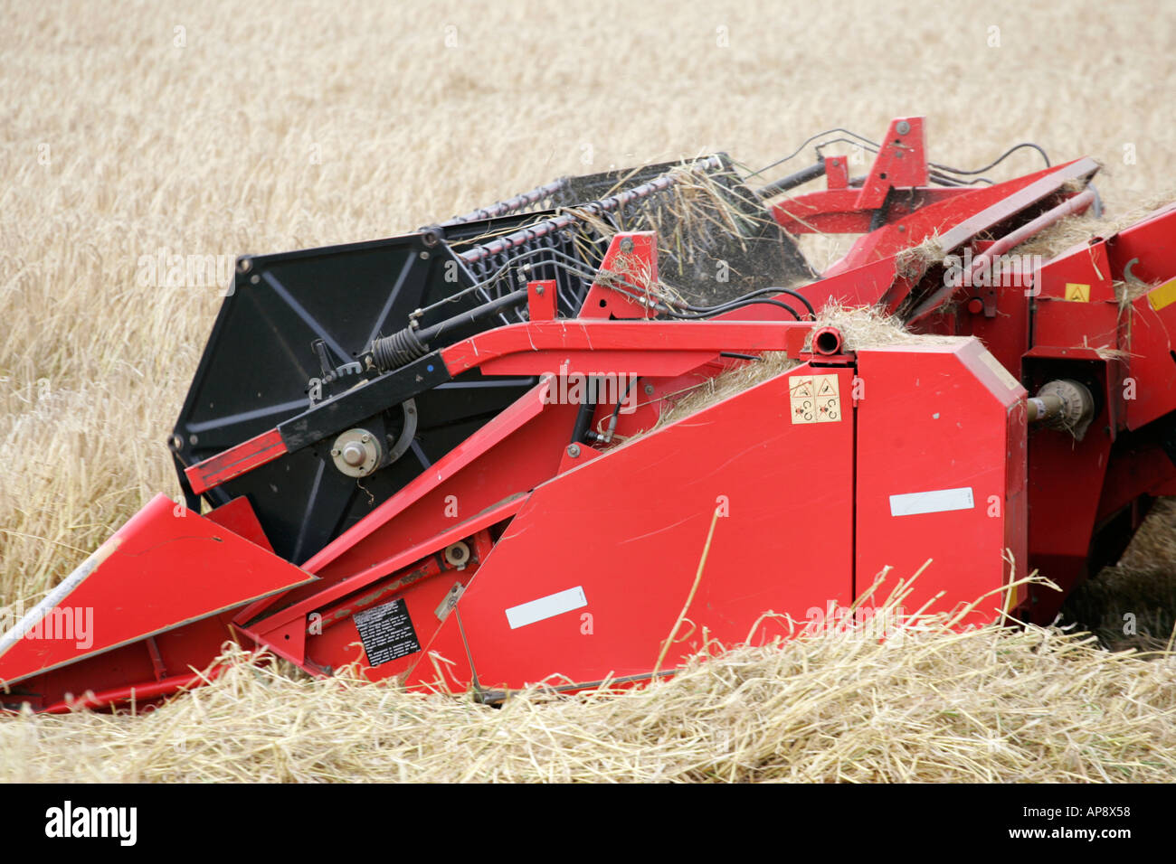 Massey Ferguson red combine harvester crop head cutter wheat field ...