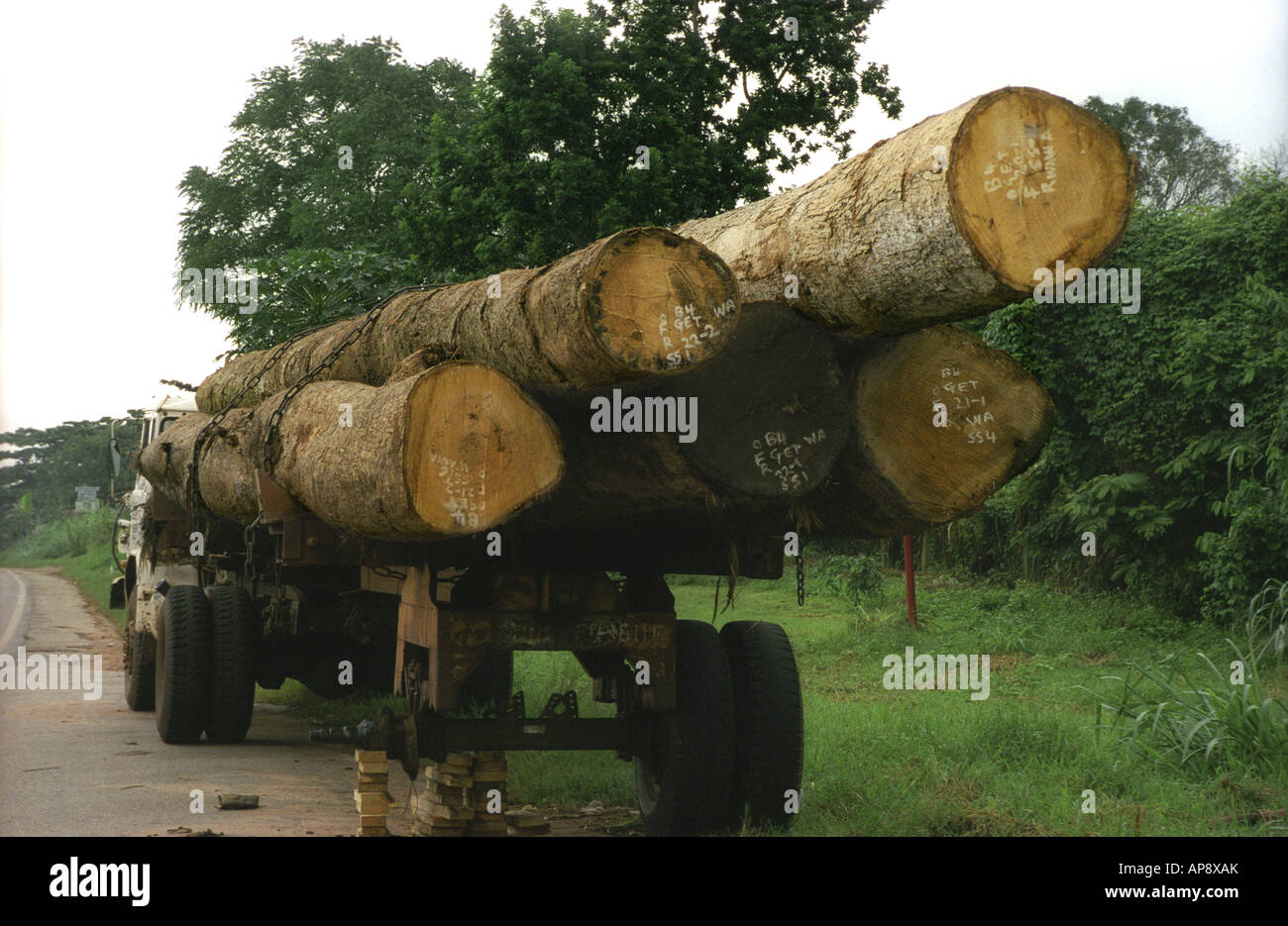 Lorry truck carrying huge tree logs jacked up on blocks with one wheel ...