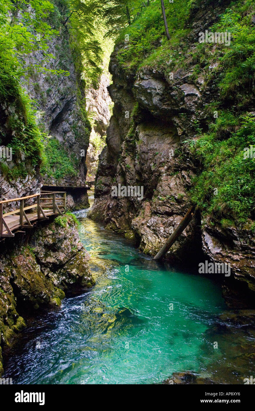 The Vintgar Gorge near Bled Slovenia Stock Photo - Alamy