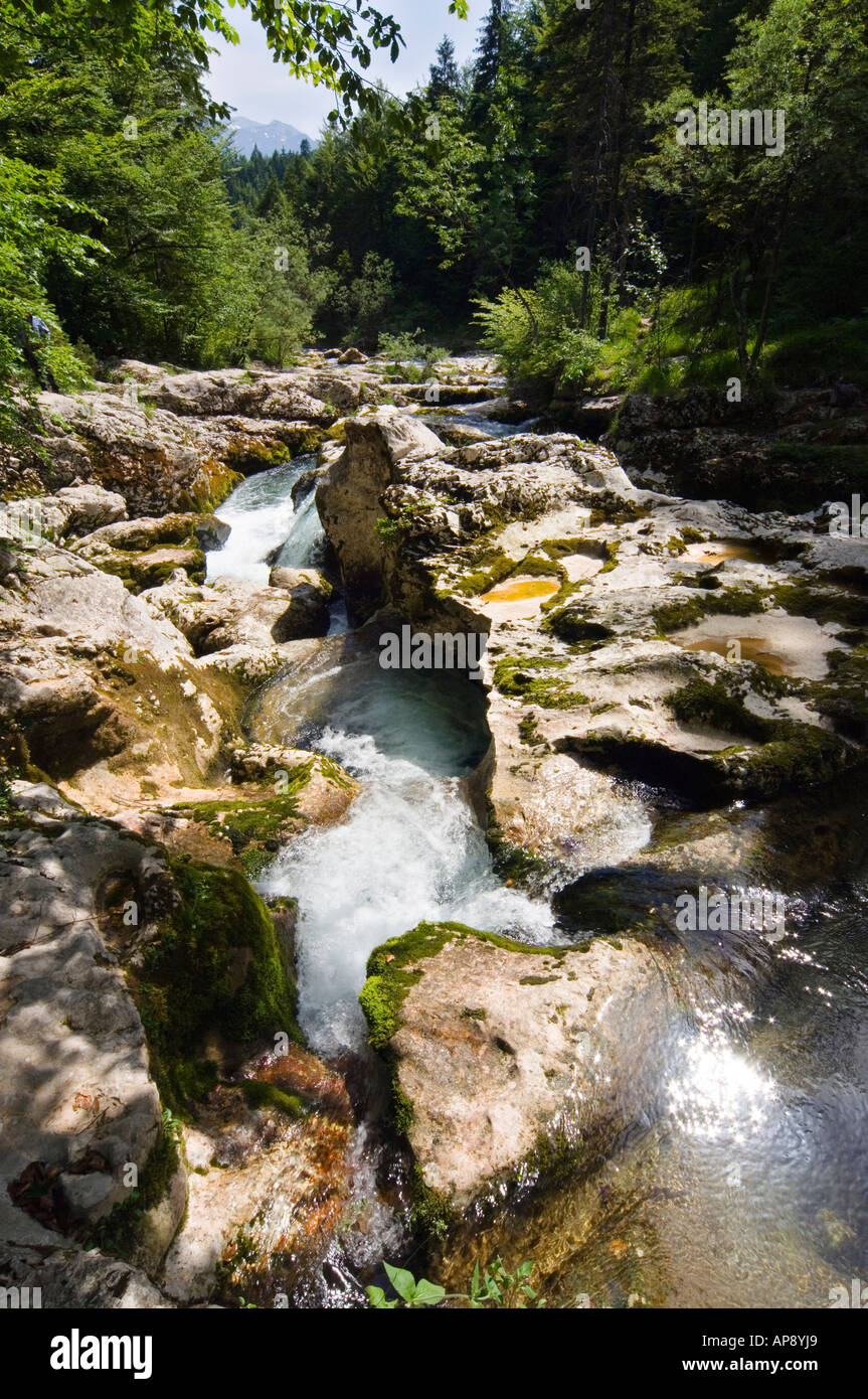 Eroded limestone in bed of mountain river in the Alpine valley of Voje ...