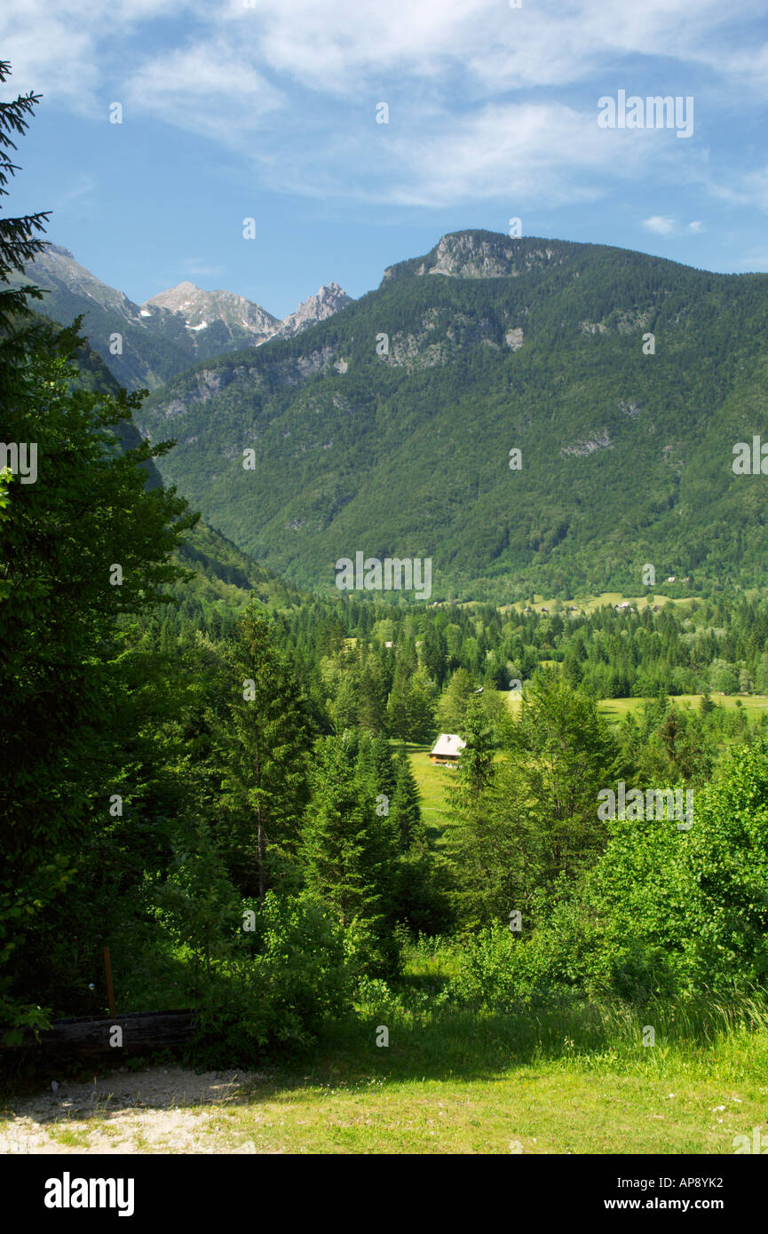 Alpine valley at Voje in the Julian Alps Slovenia Stock Photo - Alamy