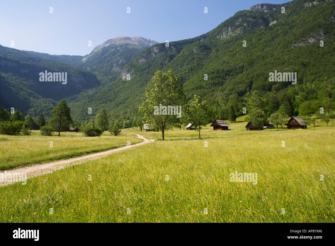 Herb rich meadows hi-res stock photography and images - Alamy